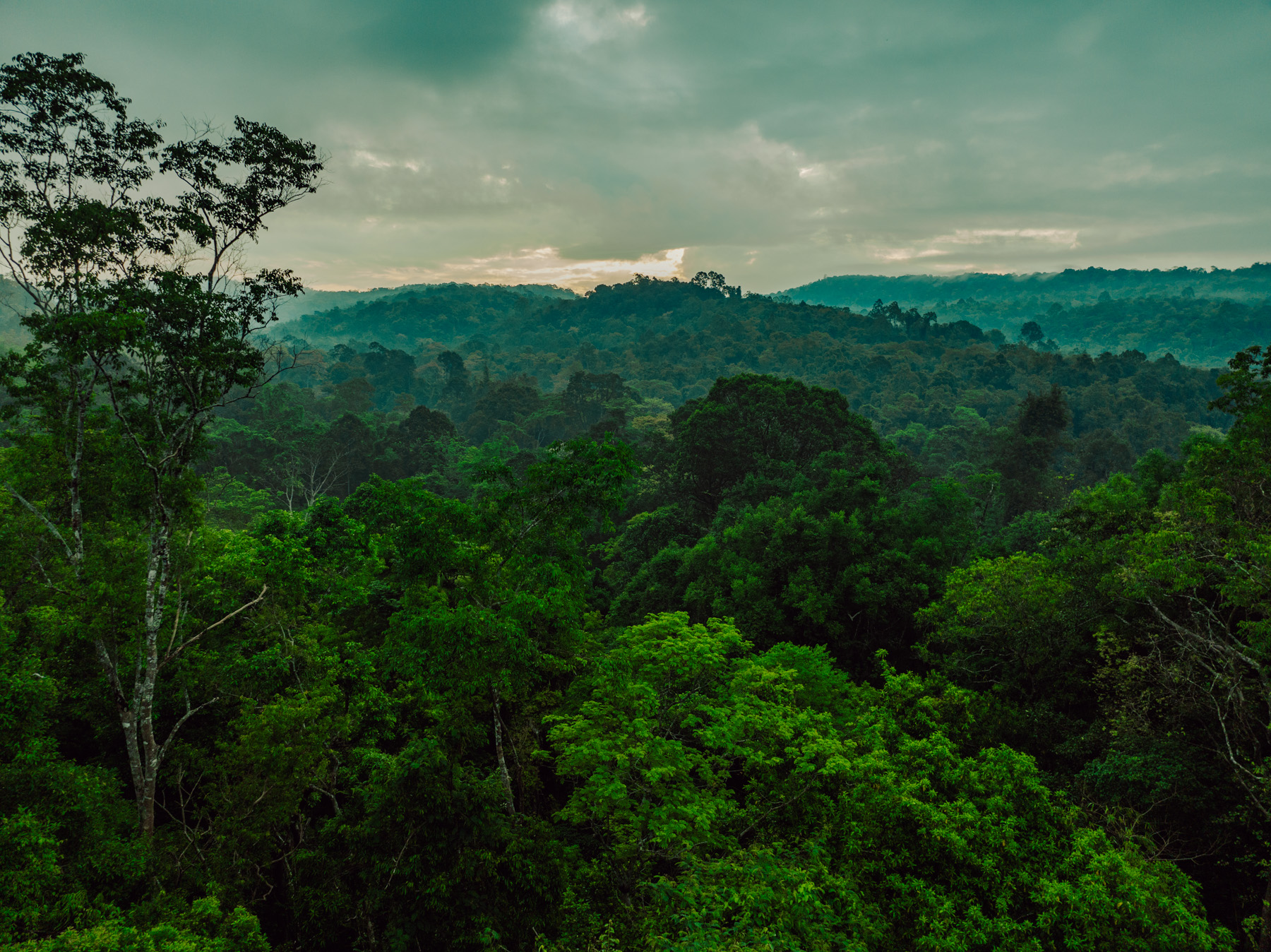 Keo Seima Wildlife Sanctuary